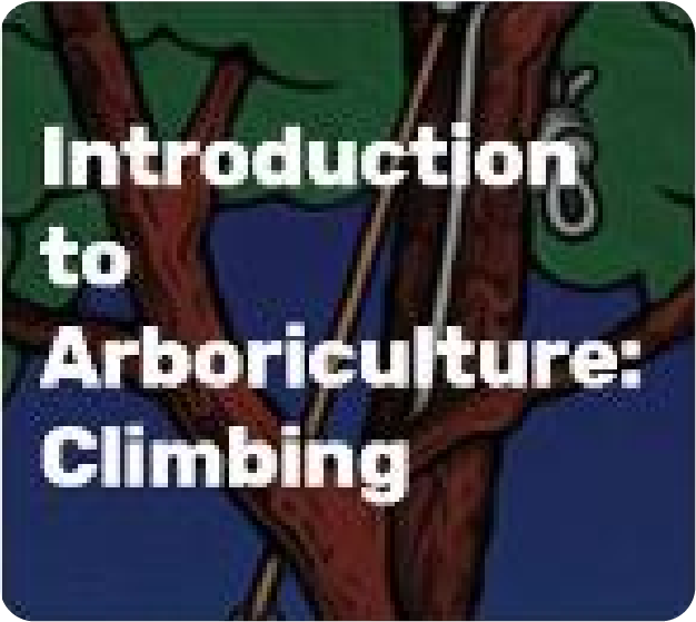 Introduction to Arboriculture - Climbing | ISA Prod