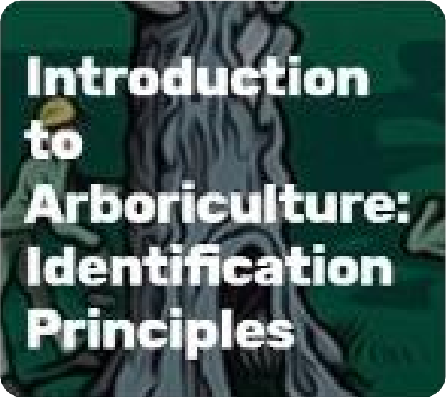 Introduction to Arboriculture - Identification Principles | ISA Prod