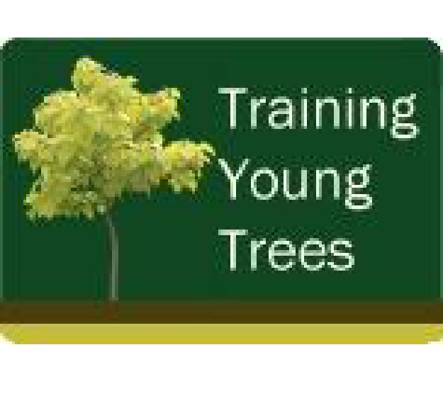 Training Young Trees | ISA Prod