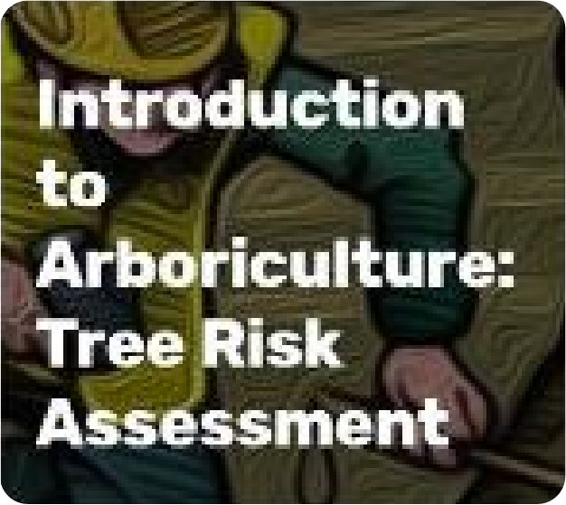 Introduction to Arboriculture - Tree Risk Assessment | ISA Prod